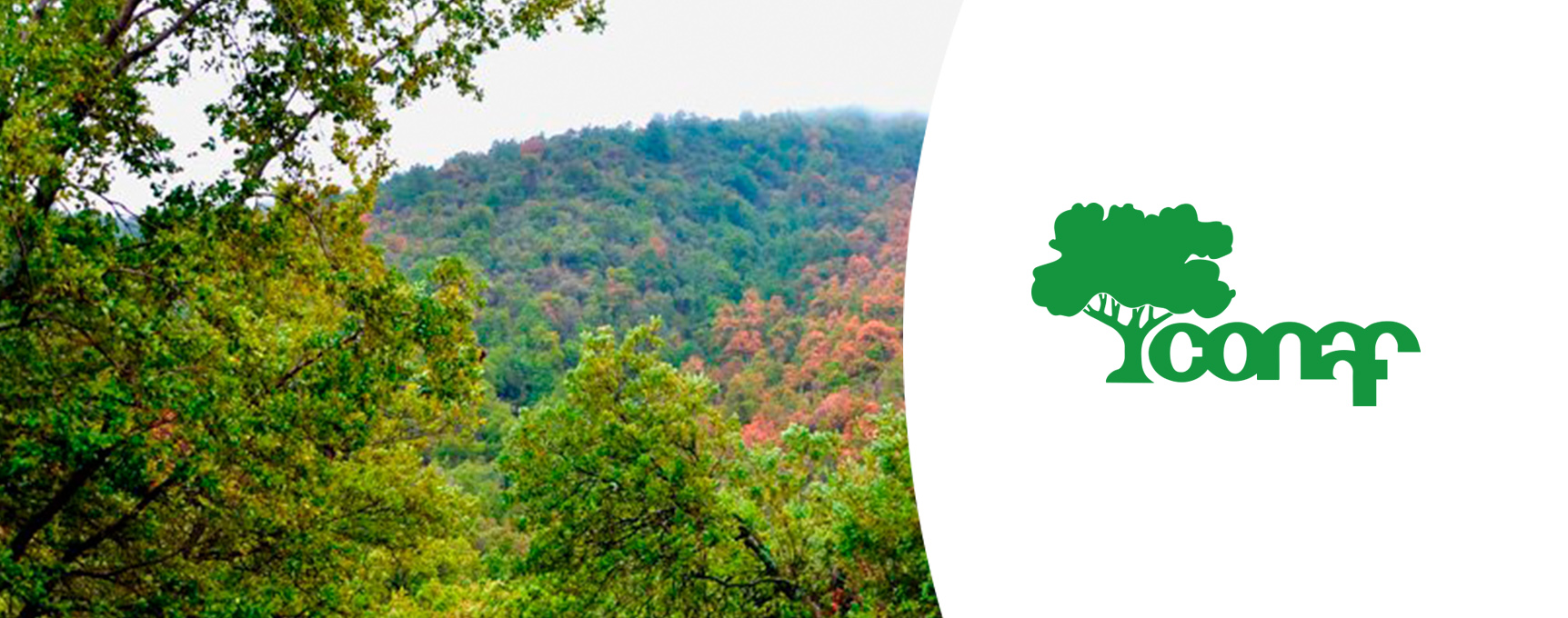 Miembros de la RENFA – Red Nacional de Fiscalizacion Ambiental